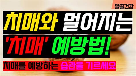 치매와 멀어지는 치매 예방법ㅣ치매를 예방하는 습관을 기르세요 Youtube