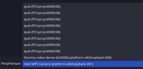 How To Hide This Dummy Video Device Help Nixos Discourse