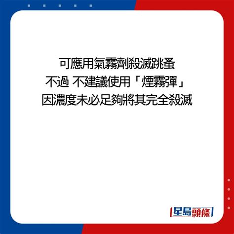 曱甴品種｜解構香港3大常見蟑螂 德國 美洲 棕帶 11招消滅「小強」方式 1個地方最易藏蟲卵 星島日報