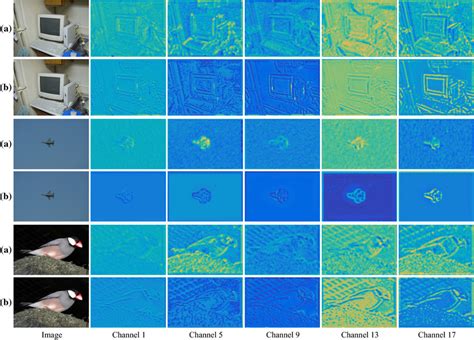 Visualization Of The Learned Affinity Without And With Region Download Scientific Diagram