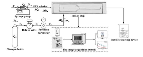 Structure Of The Pdms Chip The Schematic Diagram Of The Experimental