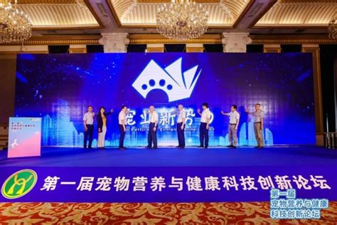 Guarantee Gut Health Poultry Feed Efficiency And Cost Reduction