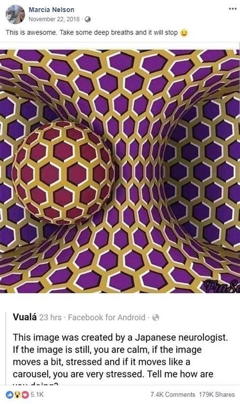 Unusual Facts That Will Make You Laugh Insane Optical Illusions Eye
