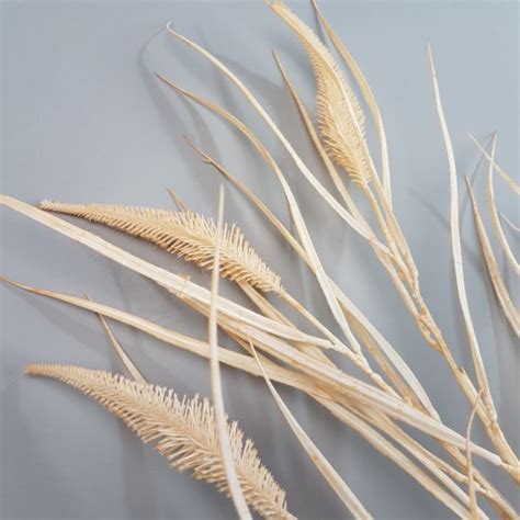 Jual Daun Plastik Dekorasi Artificial Palsu Tanaman Hias Reed Grass