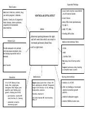 VSD Concept Map Pdf Expected Findings Risk Factors Maternal Infection Alcohol Drug Use While