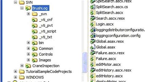 Subversion TortoiseSVN Installed And Started On Windows 2003 Server