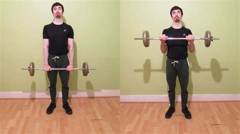 Reverse Barbell Curl Muscles Worked And Benefits