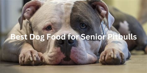 5 Best Dog Food For Senior Pitbulls In 2025 The Pitbull Center