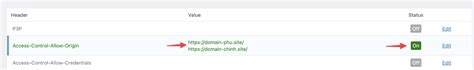 How To Fix The Blocked By CORS Policy Error On WordPress