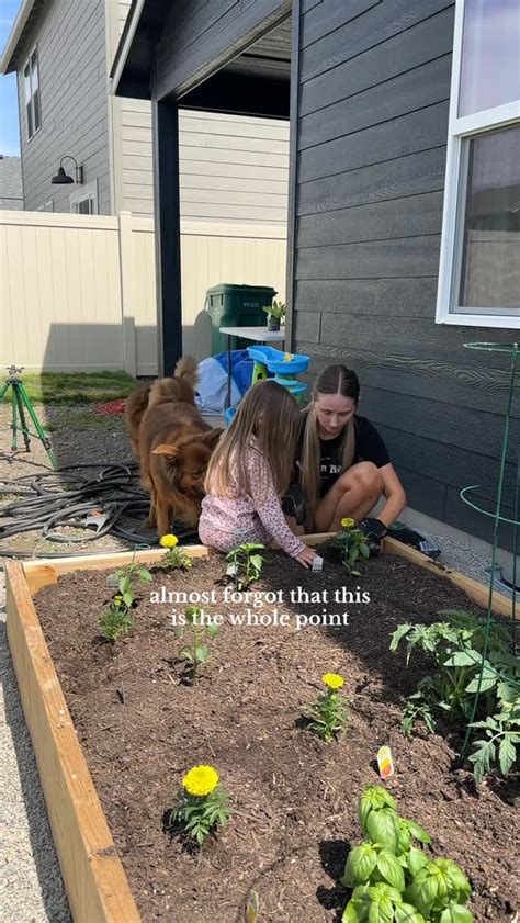 Kayline Olson Kaylineolson • Instagram Photos And Videos