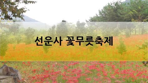 고창 선운사 꽃무릇축제 너무 멋져 네이버 블로그