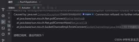 若依（ruoyi）框架，后端无法启动框架，直接退出代码原因若依框架后端启动不了 Csdn博客