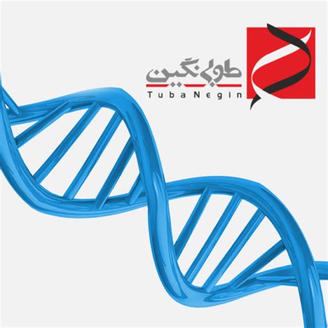 درباره ما شرکت طوبی نگین