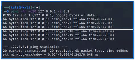 Lab Ping And Its Various Uses Labs Net