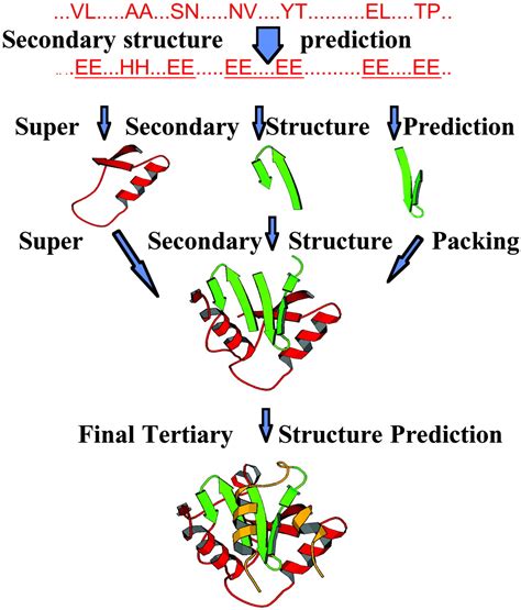 Toward Predicting Protein Topology An Approach To Identifying β