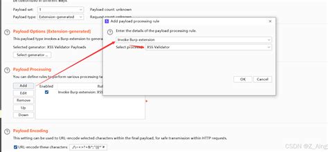 Xss漏洞总结 附带burp Xss检测插件使用xssvalidator Csdn博客