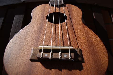 Aprende A Tocar El Ukelele Con Estos Sencillos Pasos Un D A Una Canci N