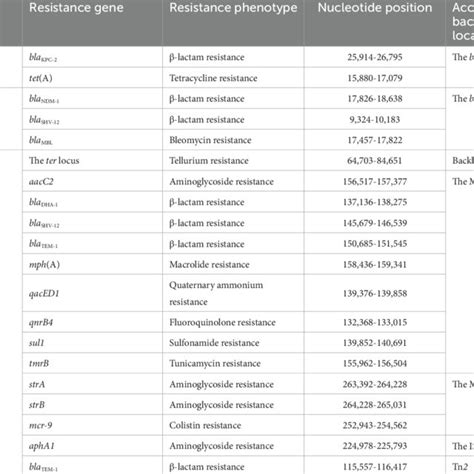 Drug Resistance Genes In Plasmids Analyzed Download Scientific Diagram