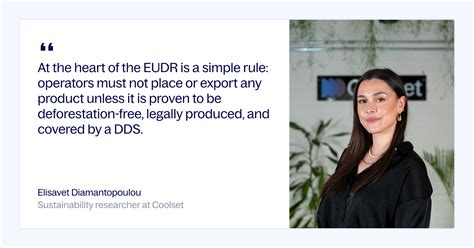 Eudr Reporting Guide For Operators Updated Dec 2025