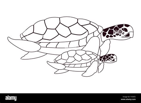 Sea Turtle Clip Art Black And White