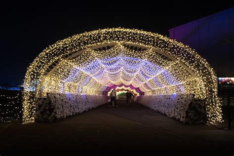 東京シティ競馬：tck（大井競馬場）のイルミネーション（拡大写真ページ）