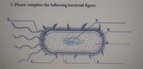 Solved 5- ﻿Please complete the following bacterial | Chegg.com