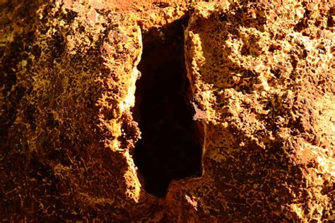 자작 나무 밖으로 성장 거친 질감 골절 원활한 추상적 인 유기 0명에 대한 스톡 사진 및 기타 이미지 0명 갈색 개념 Istock