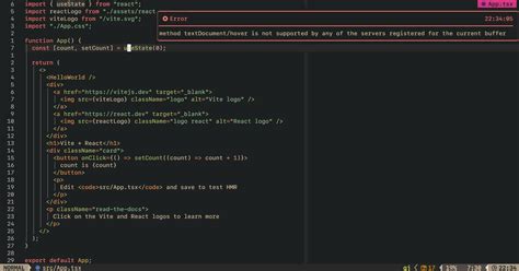 Lsp Not Working On React Files Rneovim