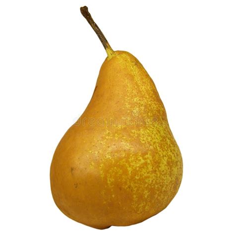 Pear stock image. Image of tree, agriculture, fruits, fruit - 3902655