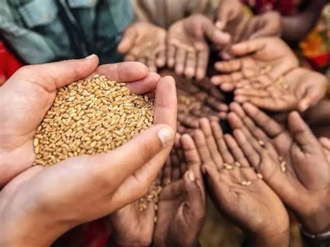 Gowri Shankar Sambatur On Linkedin Global Food Shortage Is This An