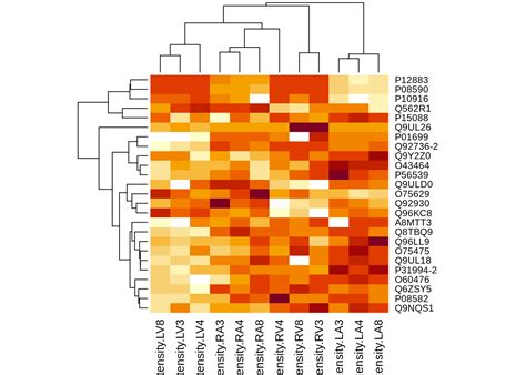 Proteomics Data Analysis Heart