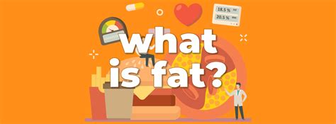 What Is Fat All You Need To Know About Fats Oils And Lipids In Food