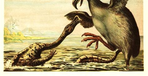 Fosila unei păsări de pradă uriașe oferă noi informații despre fauna din America de Sud de acum
