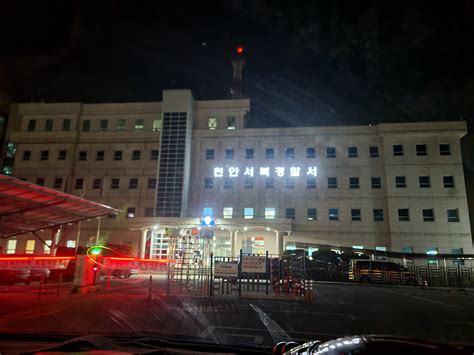 Энх Амьдрал 🇲🇳 🇰🇷 On Twitter Ингээд хайран хүүхдүүд 🇲🇳 руугаа