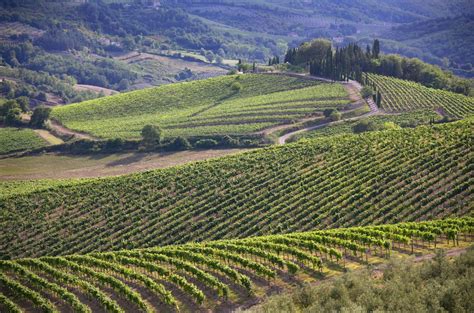 Chianti Classico Wineries Approve New Subzones Decanter