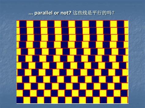 The Human Brain Tricks Us Whenever It Can Ppt