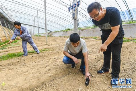 河北故城：智慧农业助力乡村振兴公益中国