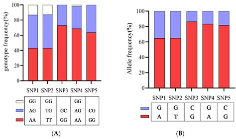 Novel Snps In The 3′utr Region Of Ghrb Gene Associated With Growth