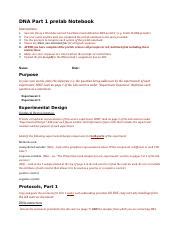 DNA1 PCR Prelab Template F21 1 Docx DNA Part 1 Prelab Notebook Instructions 1 2 3 4 5 6