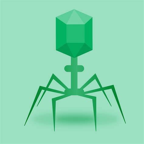 超过 10 张关于 Bacteriophage”和 噬菌体”的免费图片 Pixabay