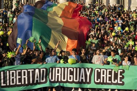 Uruguay Es Declarado El País Del Año Por Legalizar La Marihuana