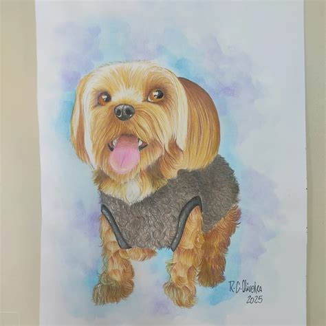 Rafaela C Oliveira Fafaela Arts • Instagram Photos And Videos