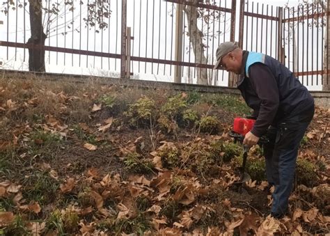 Electricity System Operator Eso Ead On Linkedin 🌳 Пространството на