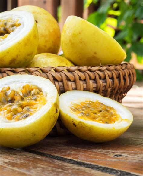 Passion Fruit Vine Sweet Sunrise Yellow Variety