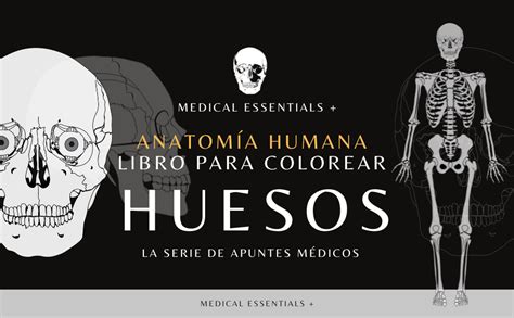 Anatomía Humana Libro para Colorear Huesos Ilustraciones Detalladas