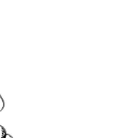 O Que S O Apis E Como Voc As Usa Sem Saber Blog Linux