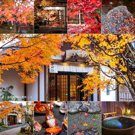 【九州宮崎住宿】高千穗溫泉 神仙日式旅館，楓葉、露天浴池超滿足！