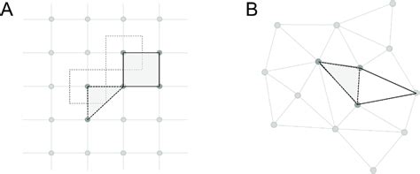 Models For Calculating Surface Area Occupied By A Single Hair A