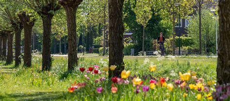 Een Zomerse Update Vanuit Hofpark Houten
