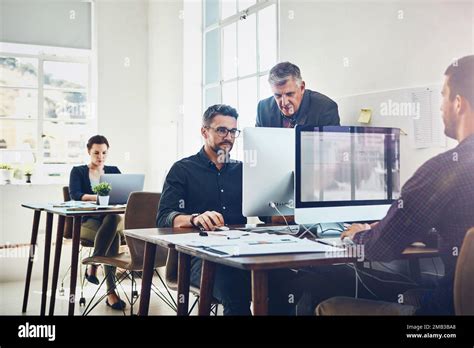 Training Coaching And Business People With Computer In Office